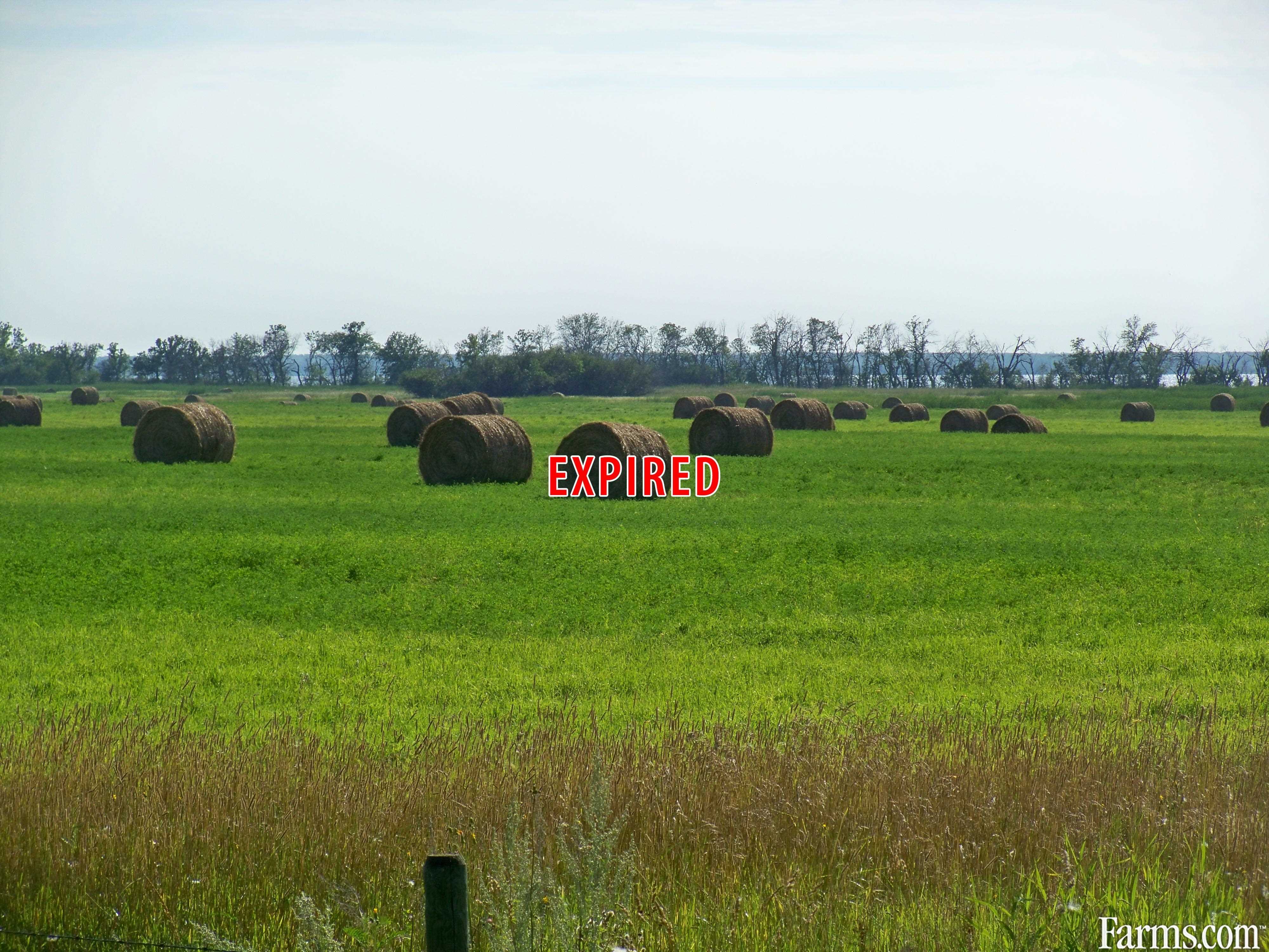 Cattle Ranch for Sale, Toutes Aides, Manitoba | Farms.com
