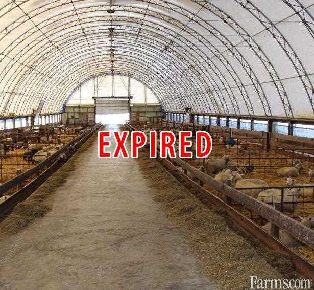Sheep Farm for Sale, Brucefield, Ontario | Farms.com